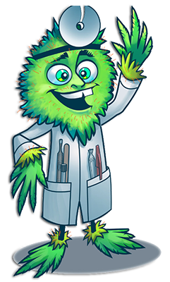 How It Works - Mr. Nugget